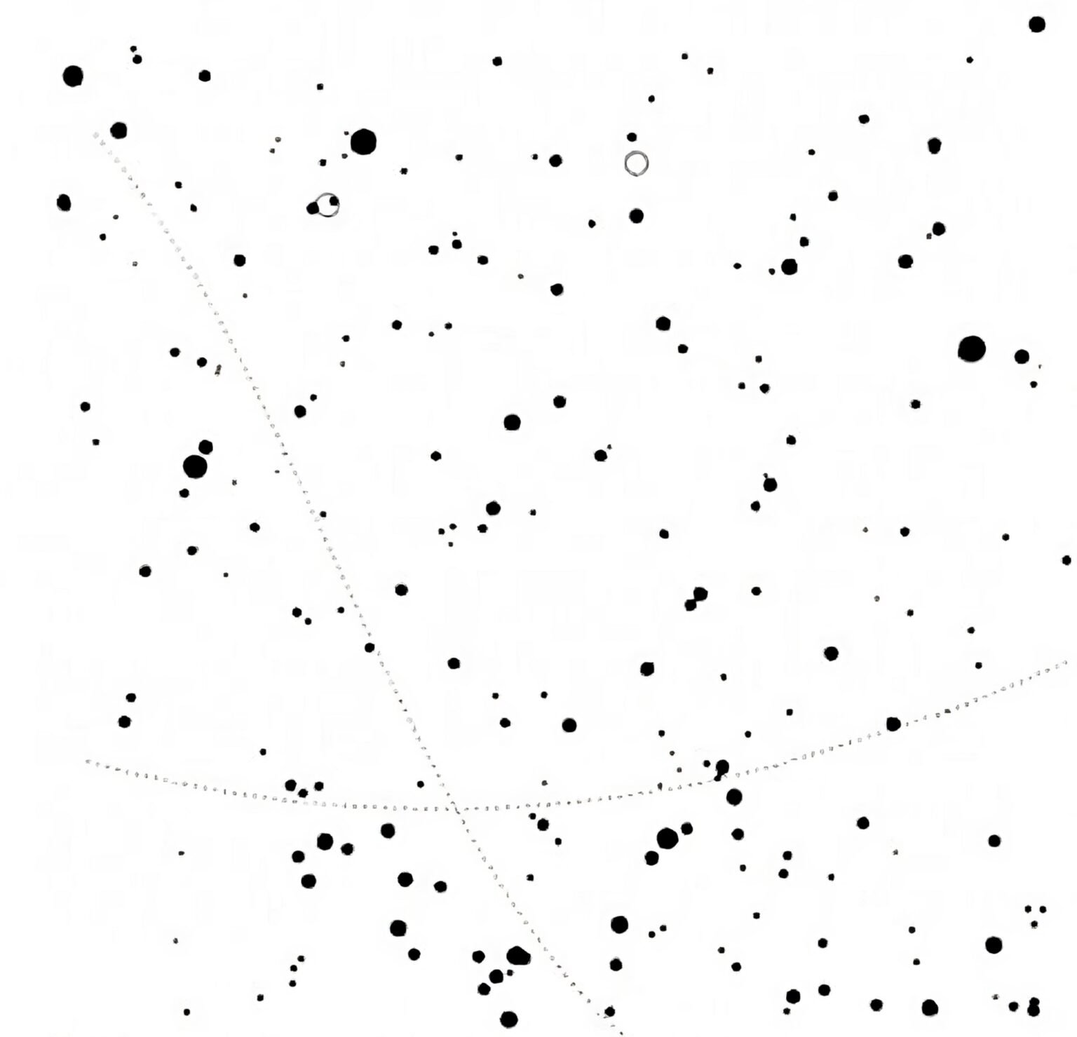 Beginner's Guide to Summer Constellations Stargazing